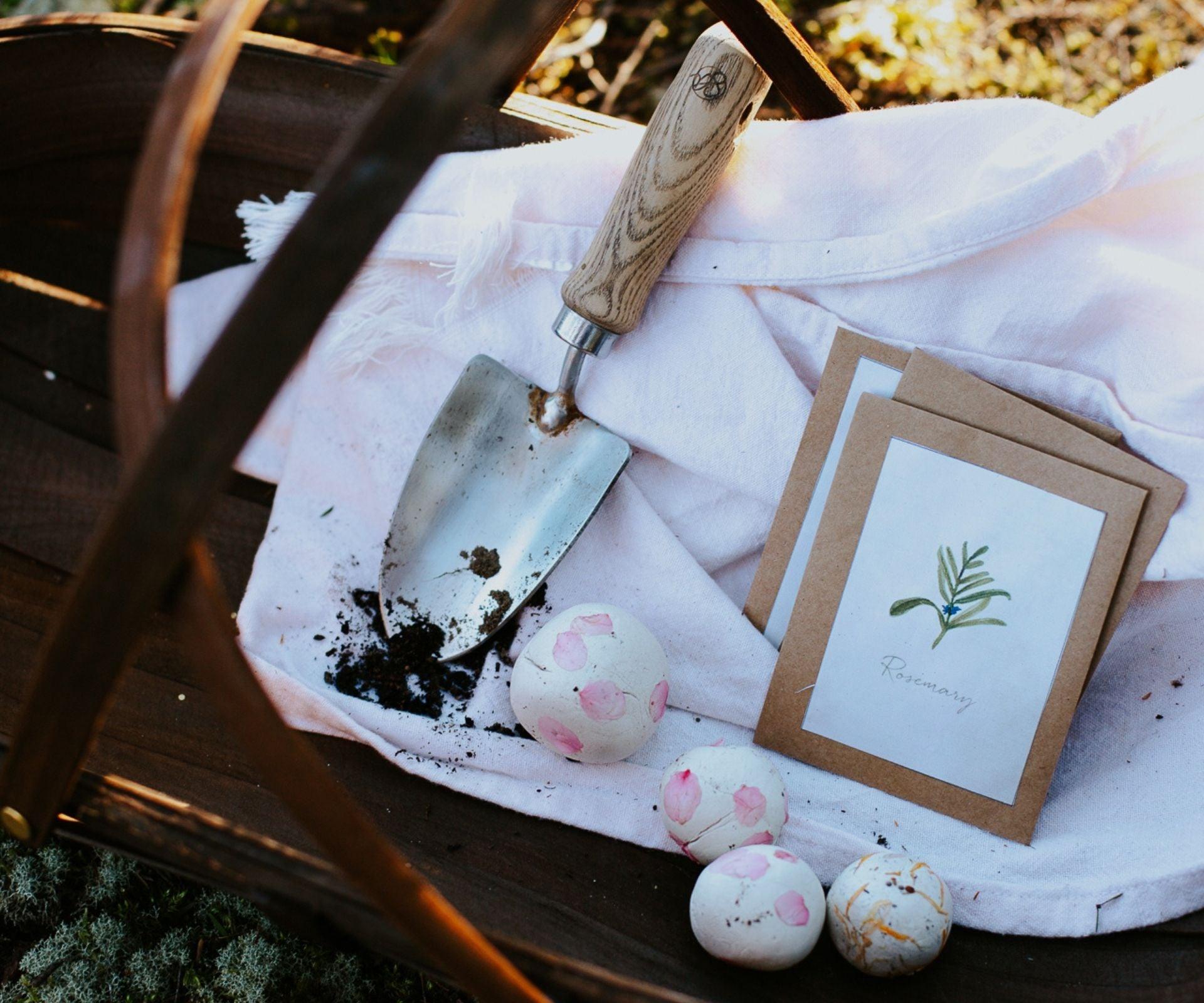 DIY Summer Flower Bombs for Bee Friendly Spaces – Kai Ora, New Zealand