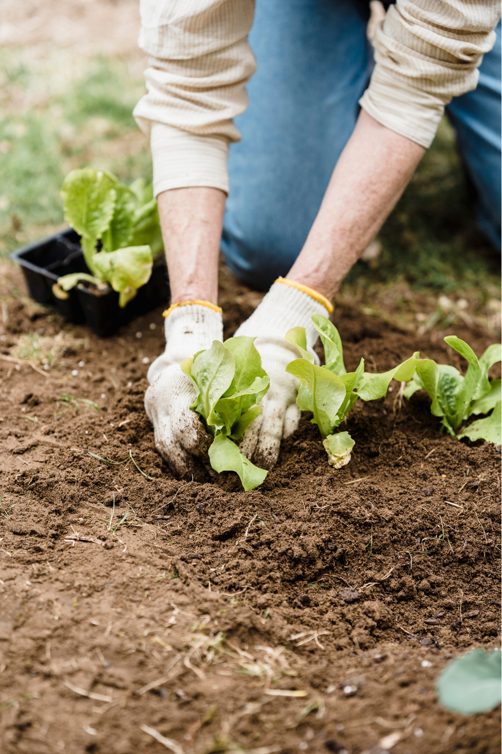 5 simple steps you can take to reduce your impact on the environment ...
